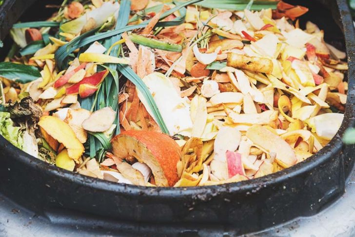 8 Best Weed Burner to Quickly Tame a Weedy Garden
