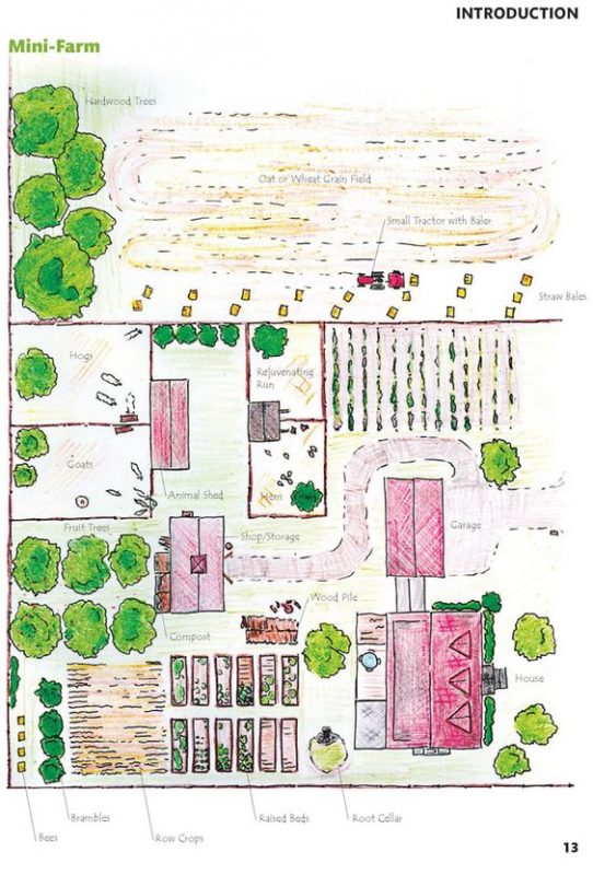 28 Farm Layout Design Ideas to Inspire Your Homestead Dream