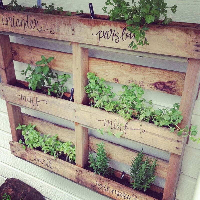 43 Gorgeous DIY Pallet Garden Ideas to Upcycle Your Wooden Pallets
