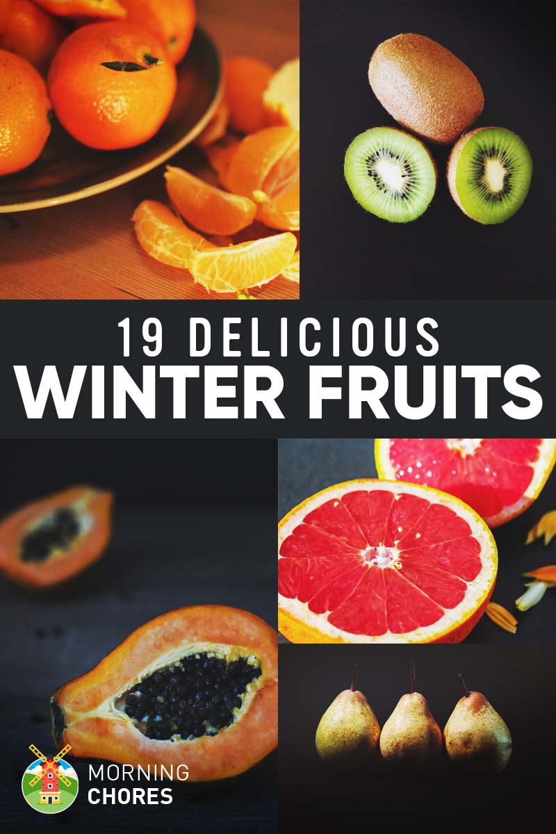 Name Of Fruits In Winter Season At Keith Flores Blog