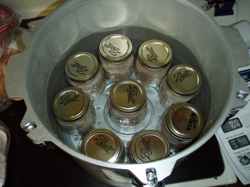 How to a Pressure Canner Correctly to Preserve Almost Any Food