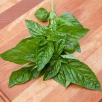 21 Types of Basil That Are Beautiful, Flavorful, and Utterly Delicious