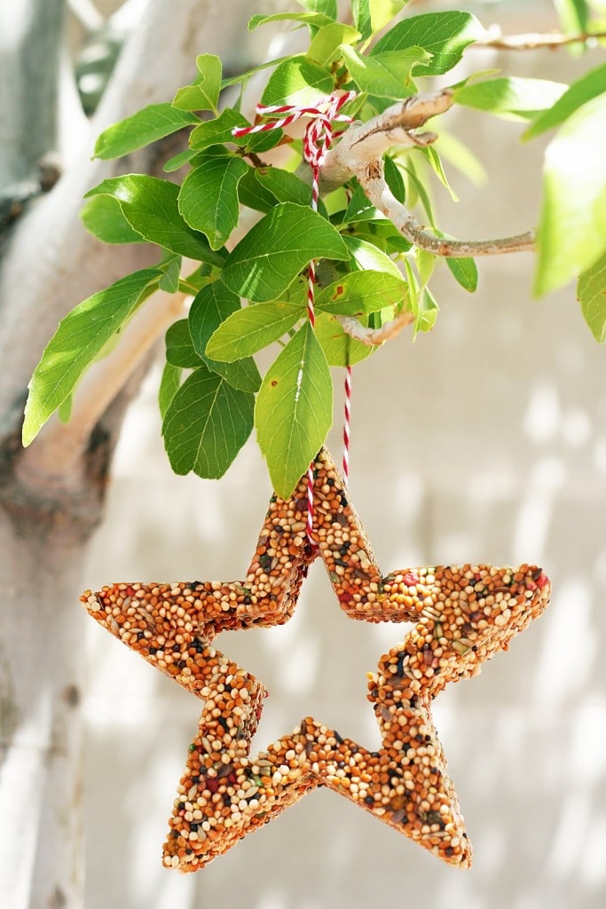 19 DIY Bird Feeders to Keep Your Colorful Feathered Friends Happy