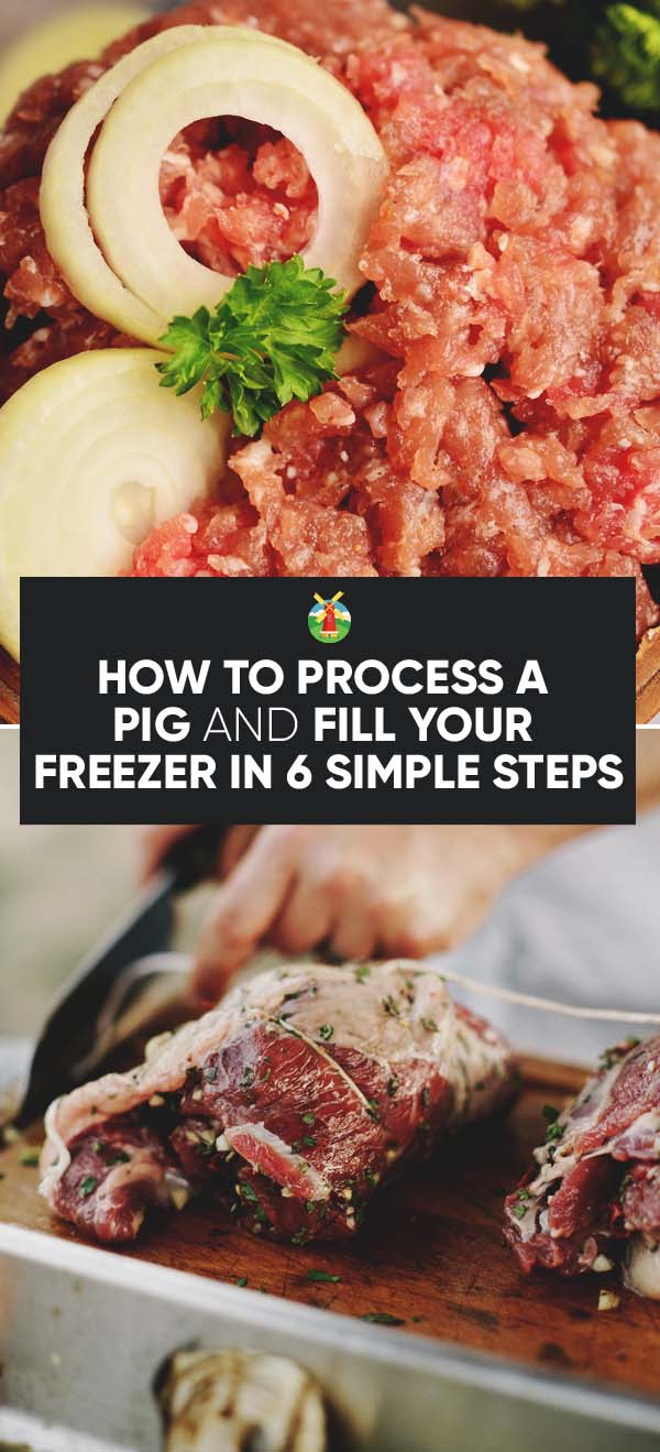 How to Process a Pig and Fill Up Your Freezer in 6 Simple Steps