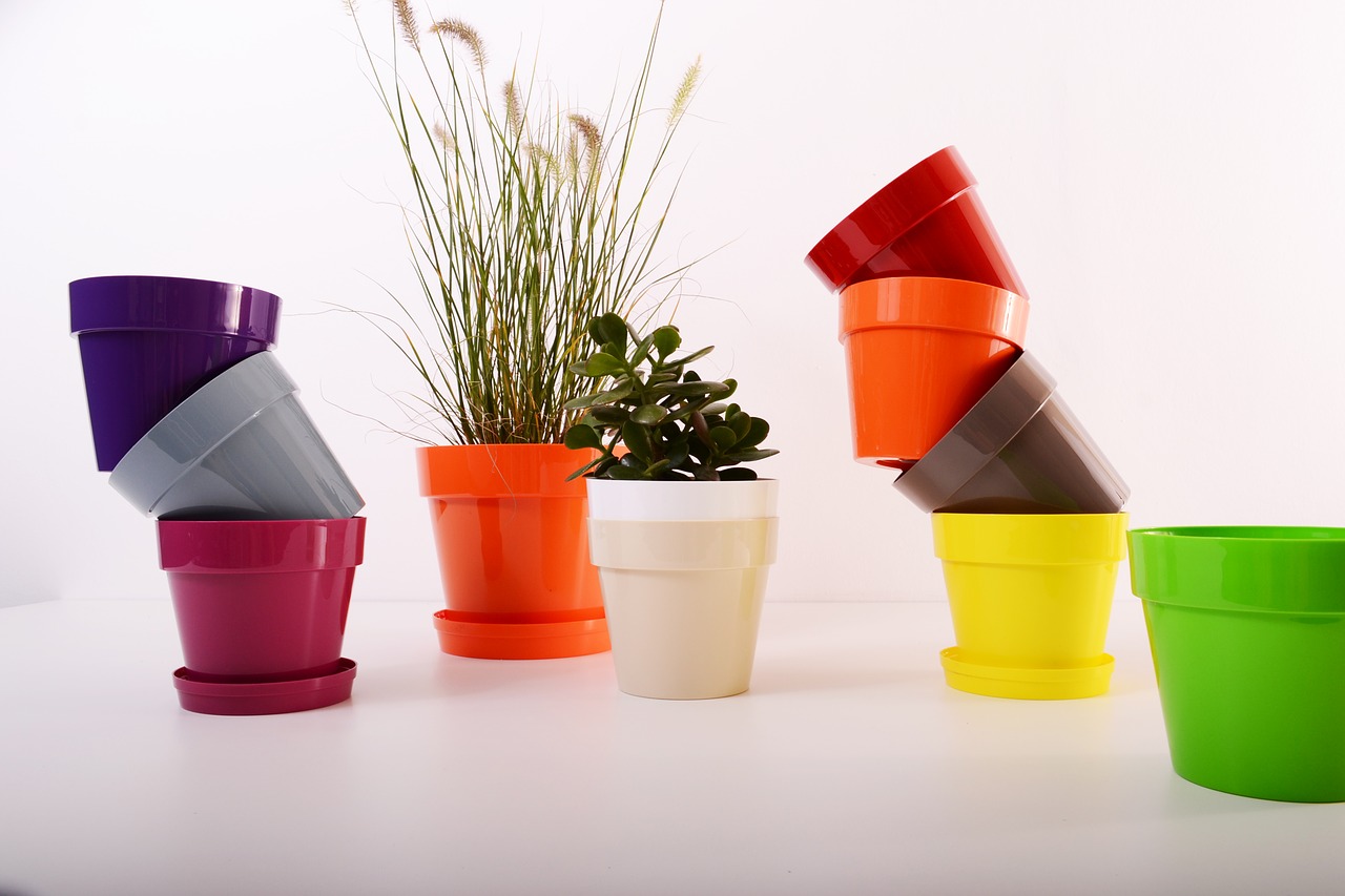 A Complete Guide to Vegetable Container Gardening for Beginners