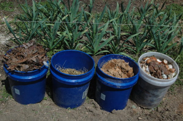 3 Easy Ways to Radically Improve Your Soil Using Trench Composting
