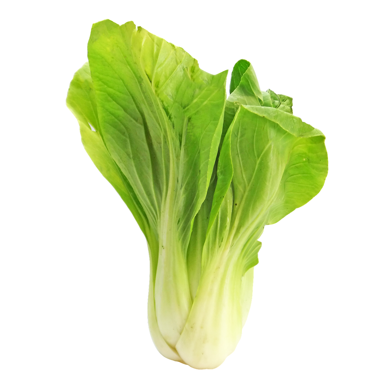 15 Delicious & Healthy Asian Vegetables You Must Know About