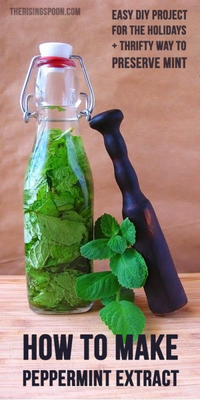 18 Easy and Delicious Homemade Extracts Perfect for Tasty Baking