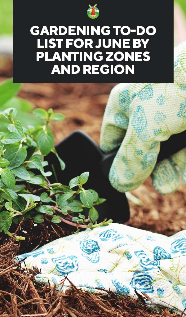 June Gardening Tips and To-Do List by Planting Zones and Region