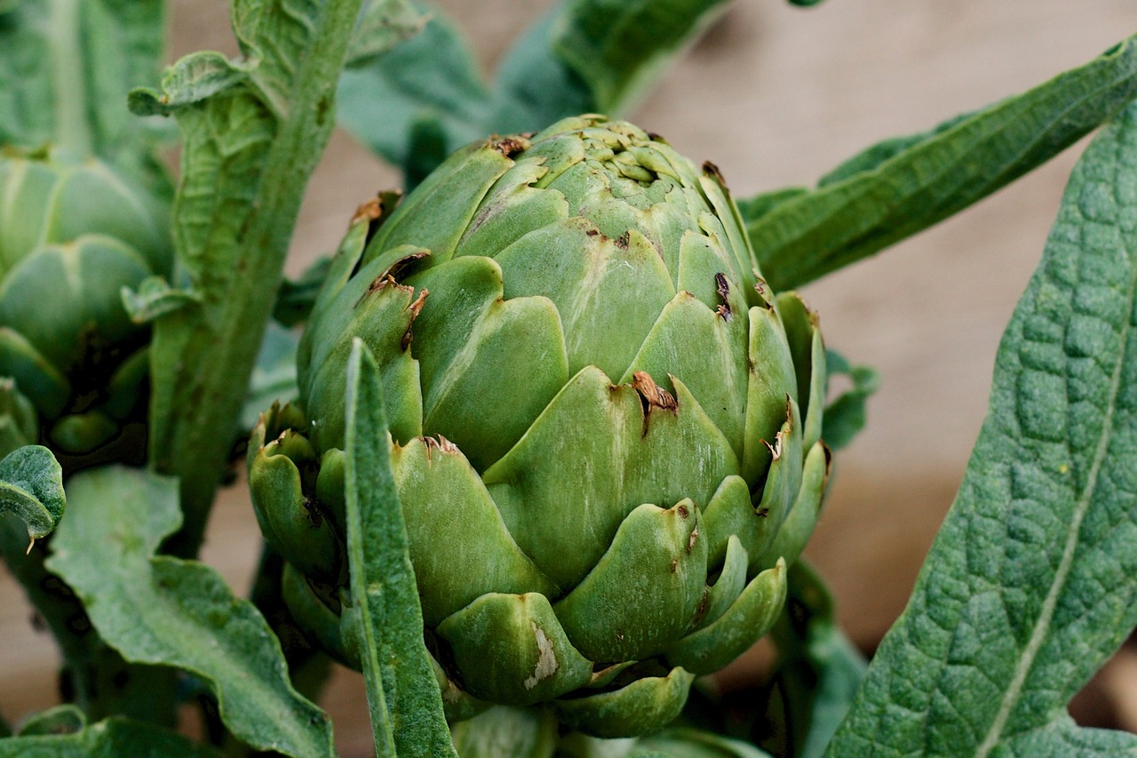 38 Perennial Vegetables & Fruits to Grow Once and Harvest Year after Year