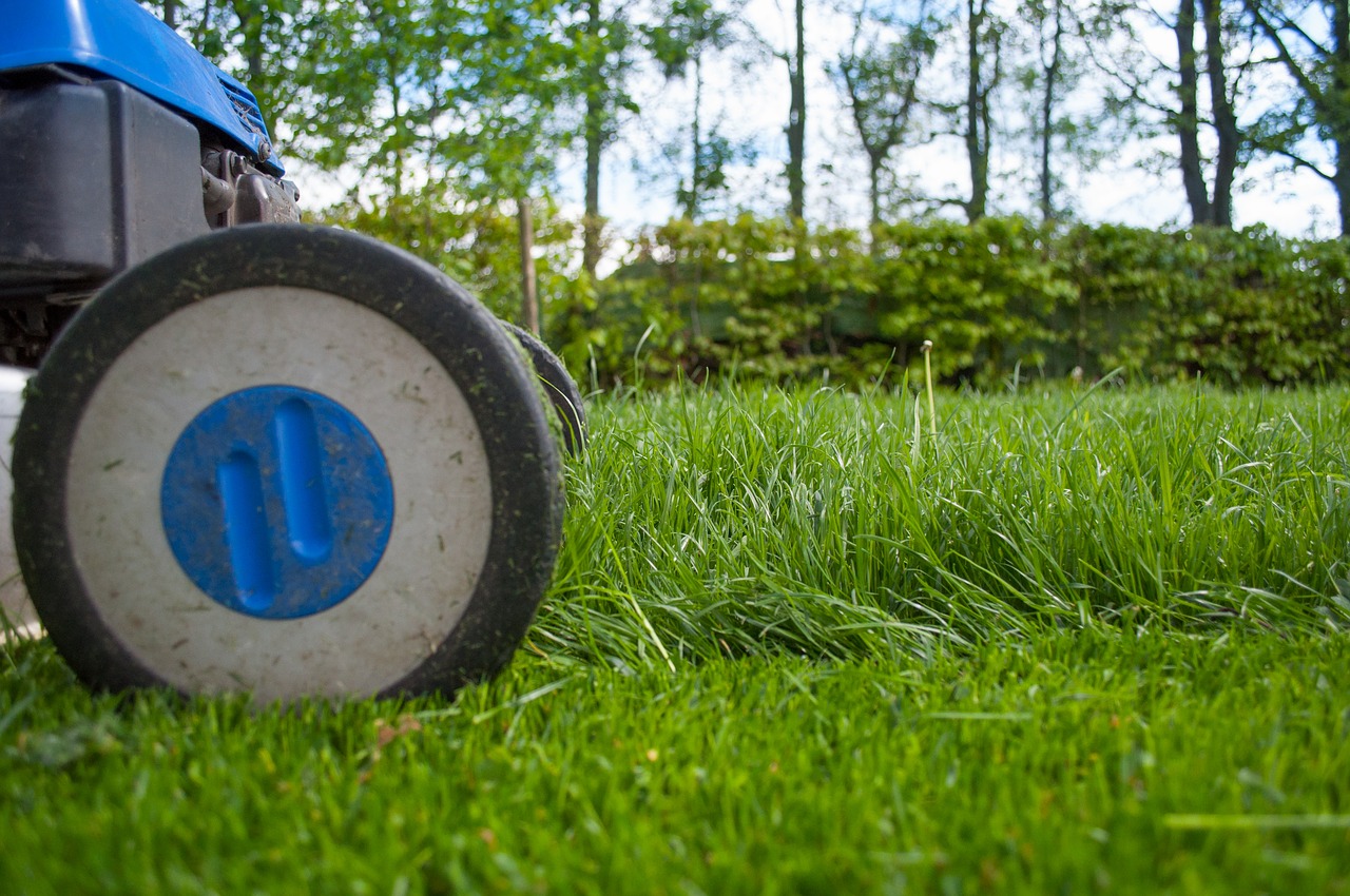 18 Important Tasks to Do During Summer on the Homestead