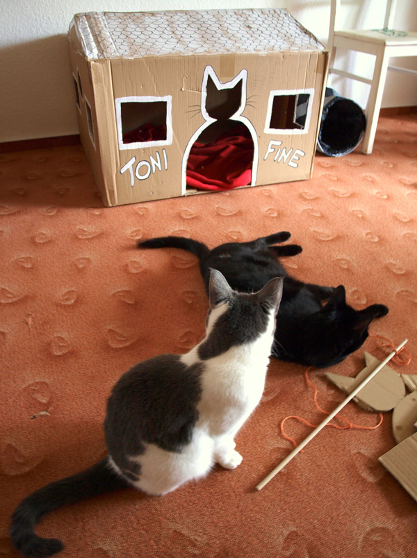 30 DIY Cat Bed Tutorials for Your Furry Feline