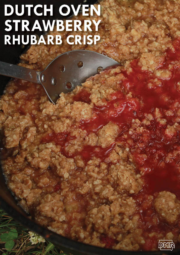 30 Super Easy Dutch Oven Camping Recipes for Your Best Outdoor Trips