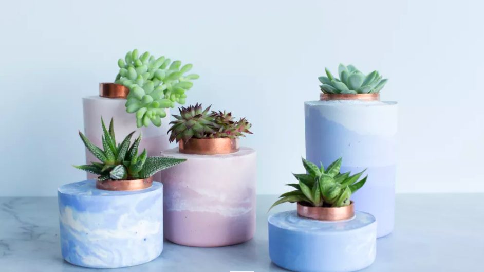 105 Cleverly Creative DIY Planters to Showcase Your Plants