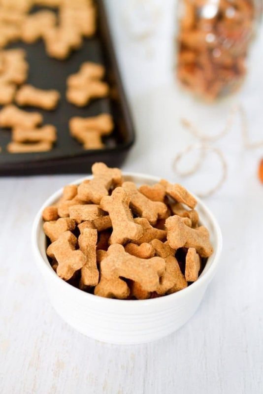 21 Healthy Homemade Dog Food and Treat Recipes Perfect for Your Pup