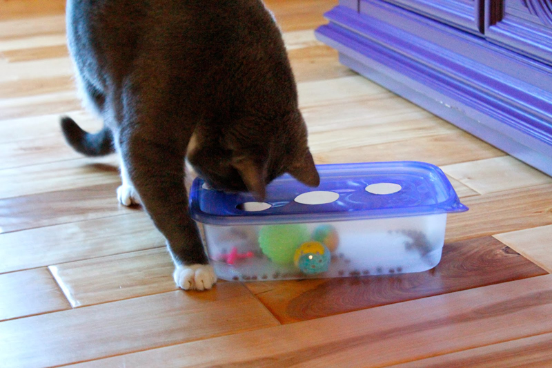 40 DIY Cat Toys Every Cat-Lover (and Their Cats) Will Adore