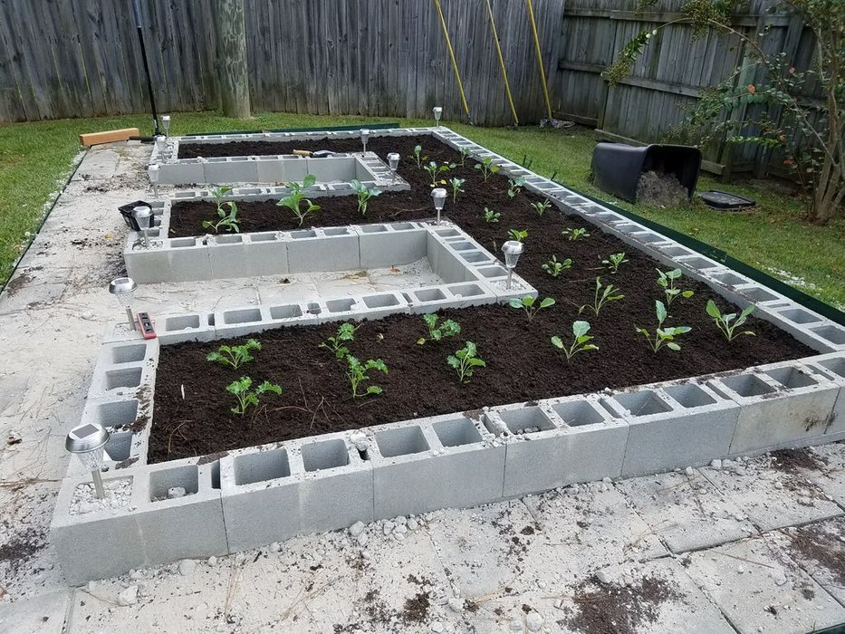 14 Cinderblock Garden Ideas For Your Veggies, Flowers and Succulents