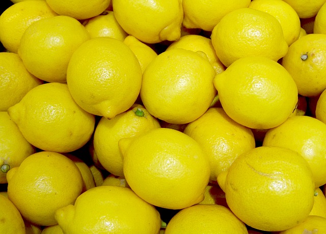 Growing Lemon Trees: A Complete Guide to Plant, Care, and Harvest Lemons