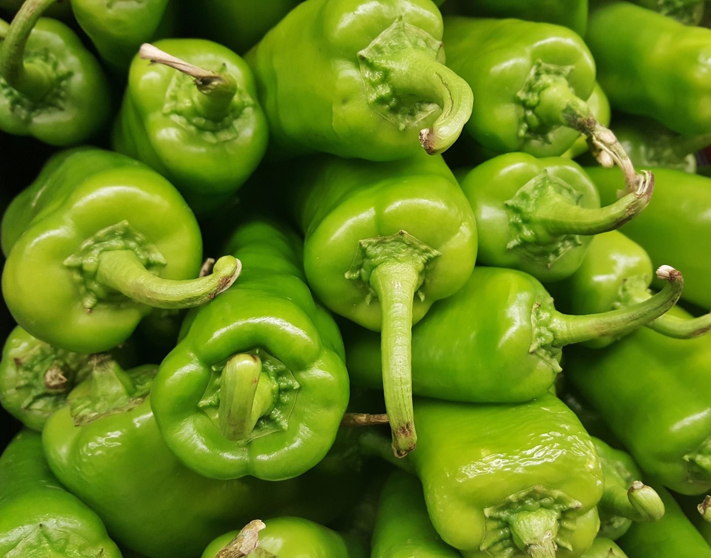 16 Best Pepper Varieties to Grow in Your Garden
