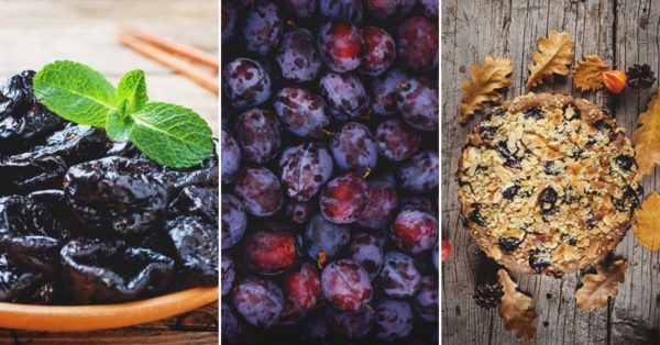 29 Indulgent Plum Recipes to Make At Home