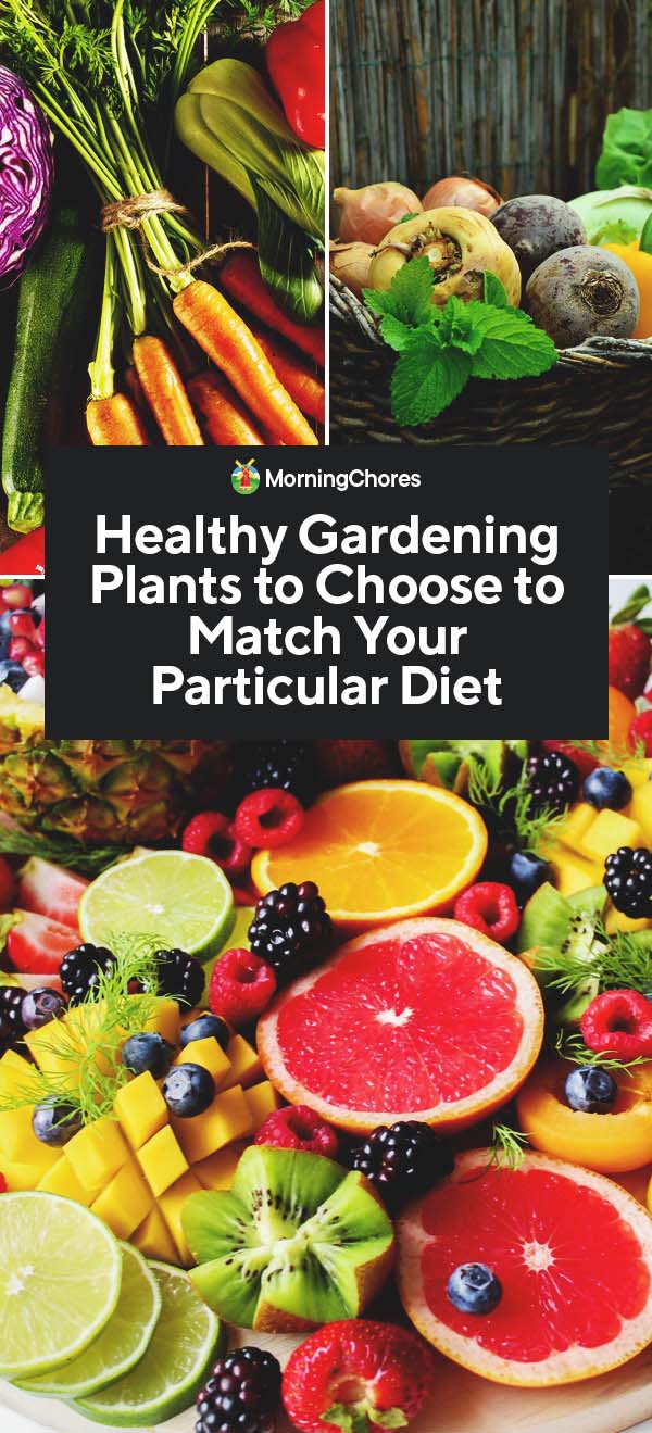 Healthy Garden Fruits and Vegetables to Plant to Match Your Diet