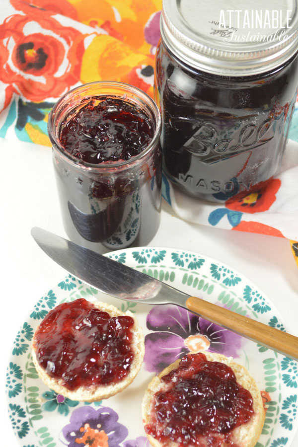 43 Delicious Jelly and Jam Recipes for Tasty Treats All Year Long
