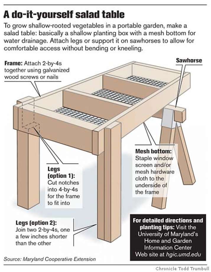 16 DIY Salad Table Ideas to Get Fresh Salad With Little Garden Space