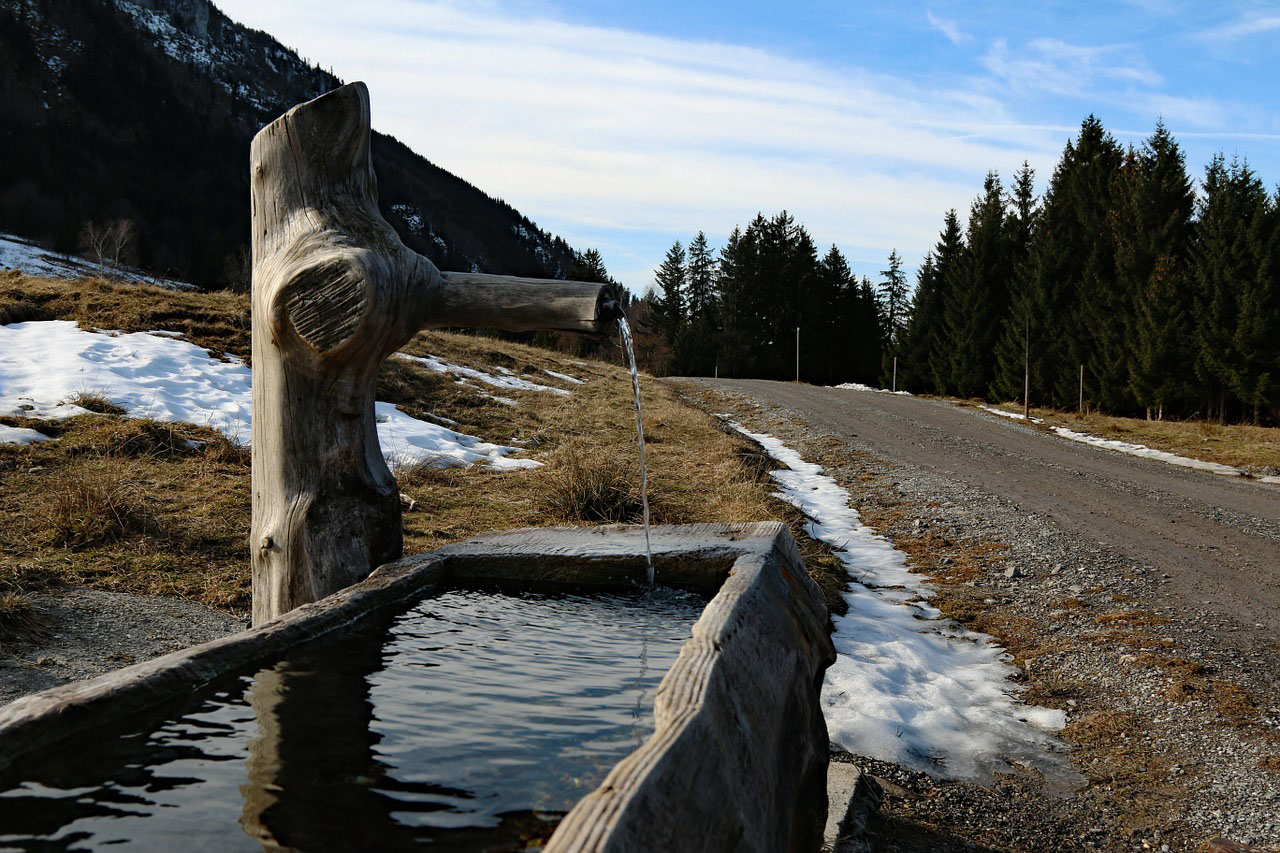 What You Need to Know About Using Water Troughs in the Garden
