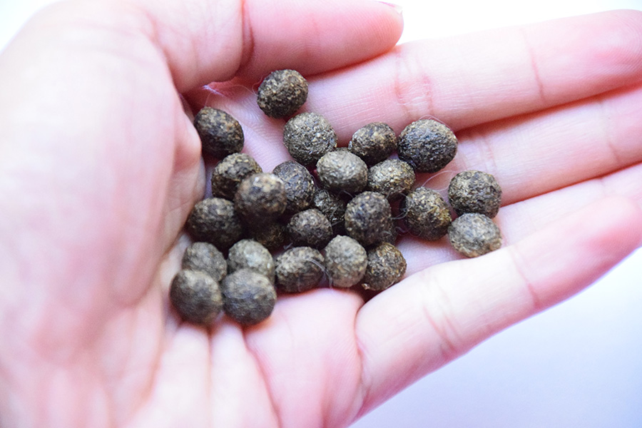 How To Use Rabbit Poop Fertilizer At Steven Connor Blog How To Use Rabbit Poop Fertilizer At Steven Connor Blog