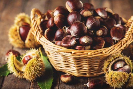 Growing Heartnut Trees: How to Plant and Raise Heartnuts