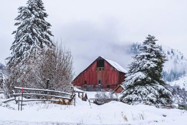 How to Prepare Your Homestead for a Blizzard