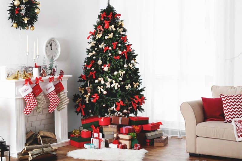 What to Do with Your Christmas Tree After the Holidays