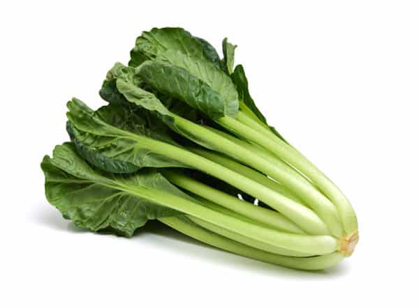 Growing Tatsoi: Varieties, Planting Guide, Care, Problems and Harvest