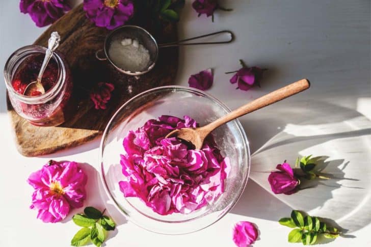 Edible Roses: Varieties, Growing Guide, Care, Problems, and Harvest