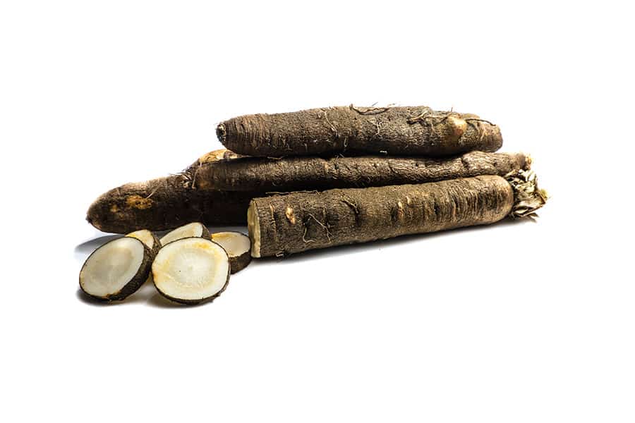 Salsify: Best Varieties, Growing Guide, Care, Problems and Harvest