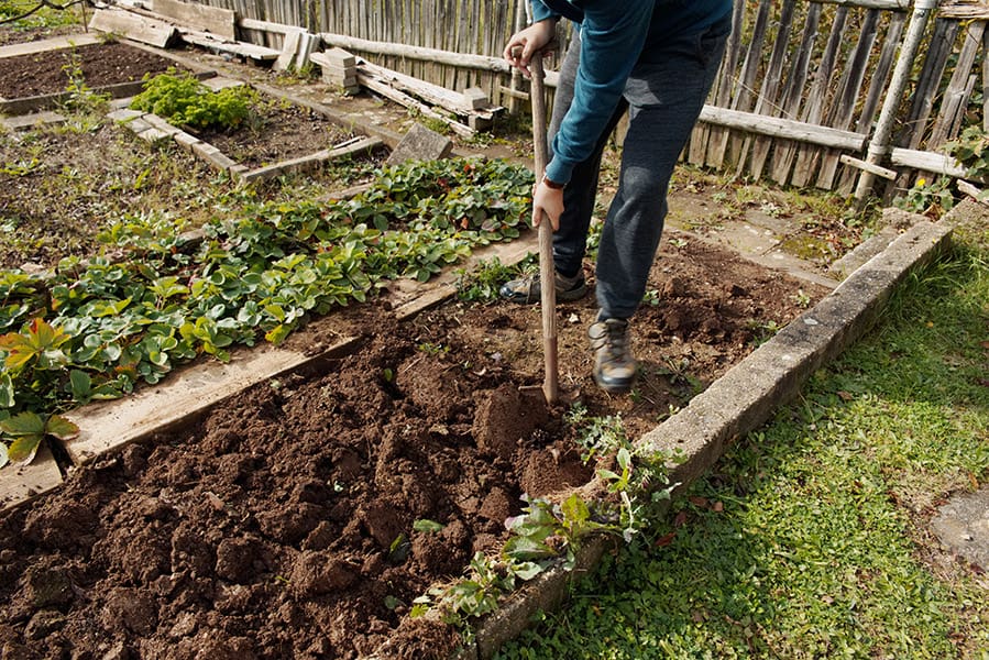 What Is Greensand and How Do You Use It In Your Garden?