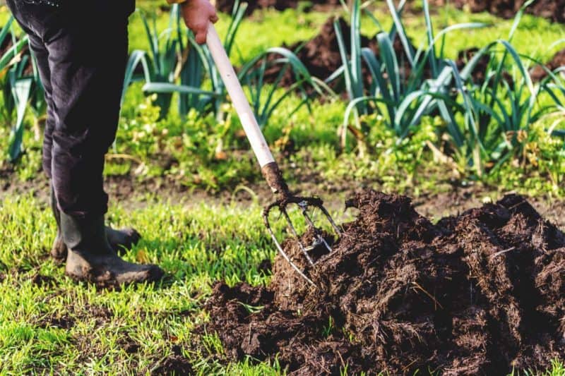 How to Till a Garden: Everything You Need to Know