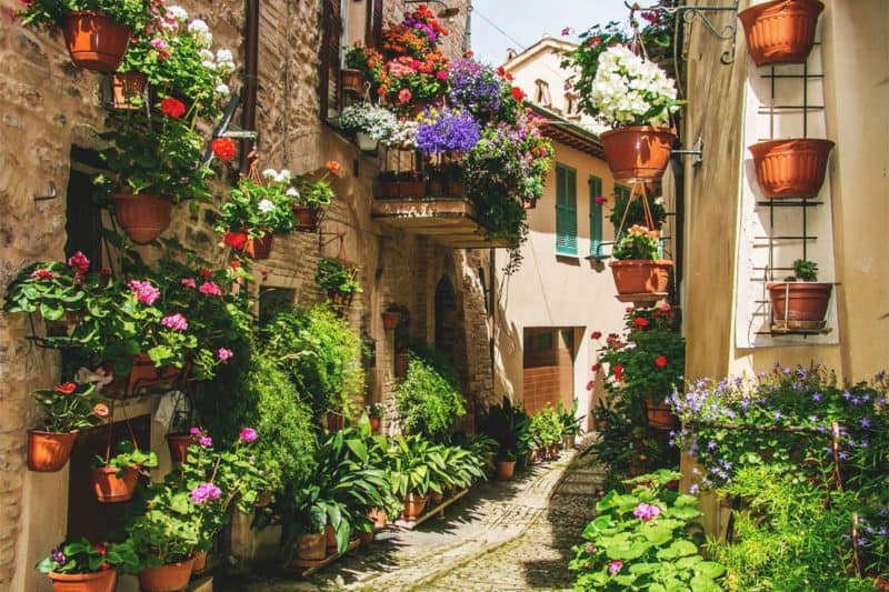 13 Ideas to Make an Elegant French Garden