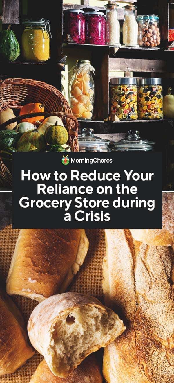 How to Reduce Your Reliance on the Grocery Store during a Crisis