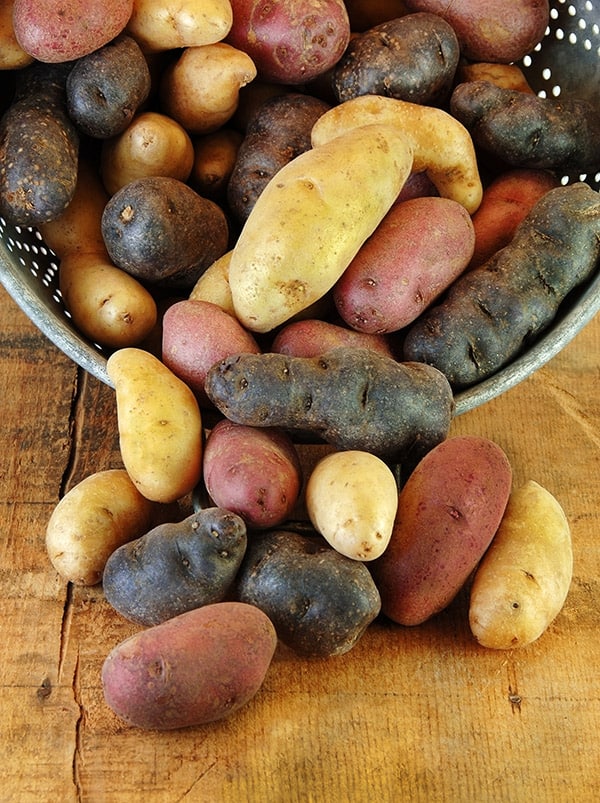 Growing Potatoes: Varieties, Planting Guide, Care, Problems, and Harvest