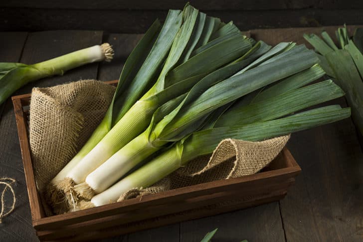 A Beginner's Guide to Creating a Root Cellar Garden