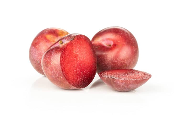 Growing Apricots: Planting Guide, Care, Problems and Harvest
