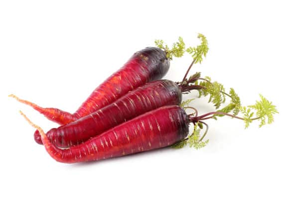 Growing Carrots: The Beginner's Guide to Raising the Perfect Carrots