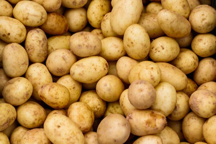 Growing Potatoes: Varieties, Planting Guide, Care, Problems, and Harvest
