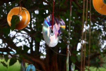10 Recycled Gardening Ideas to Use in Your Garden