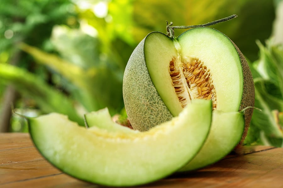 Growing Melons: Varieties, Planting Guide, Care, Problems and Harvest