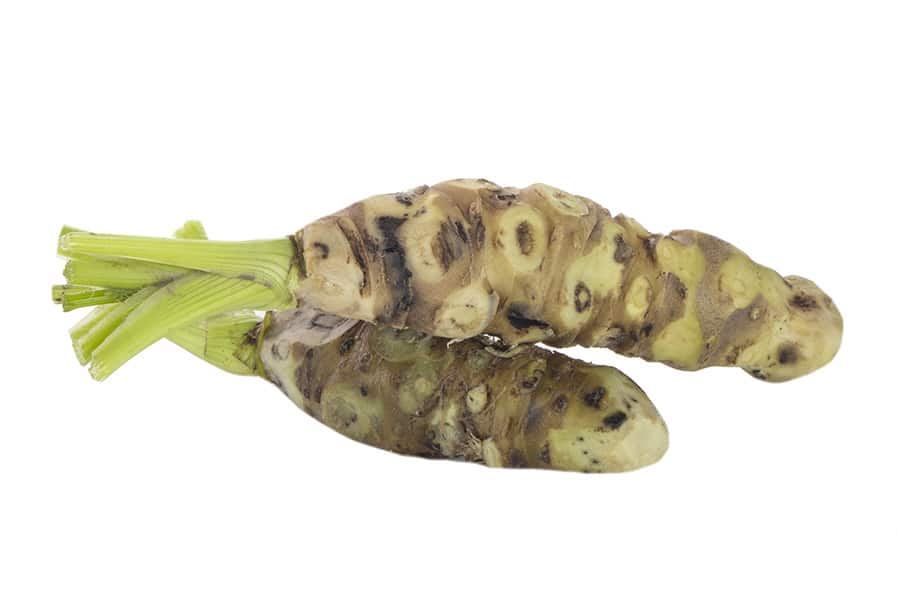 Growing Wasabi: Best Varieties, Planting Guide, Care, Problems and Harvest
