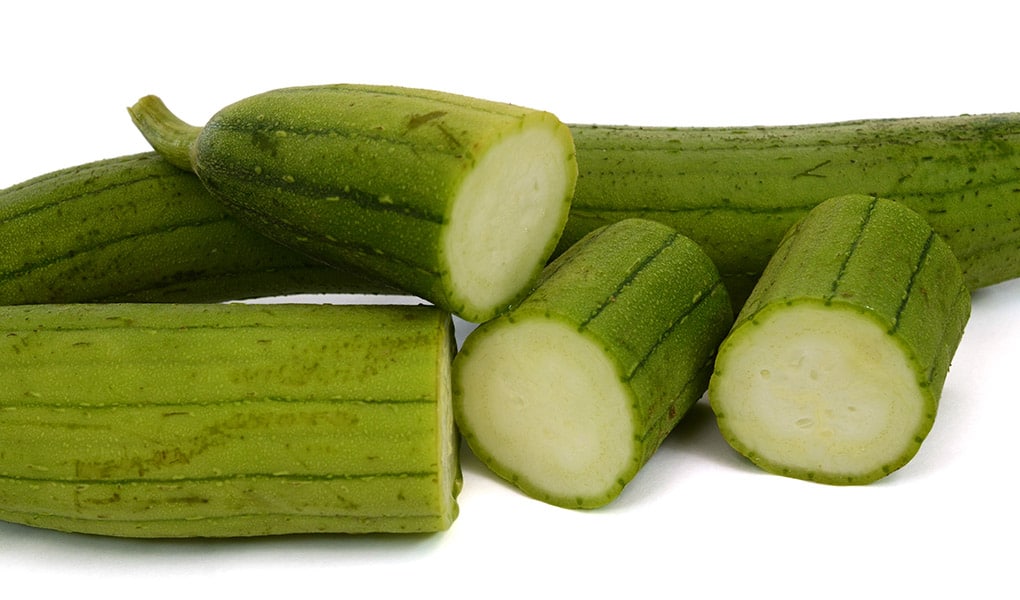 Growing Gourds: How to Plant, Grow, and Harvest Gourds