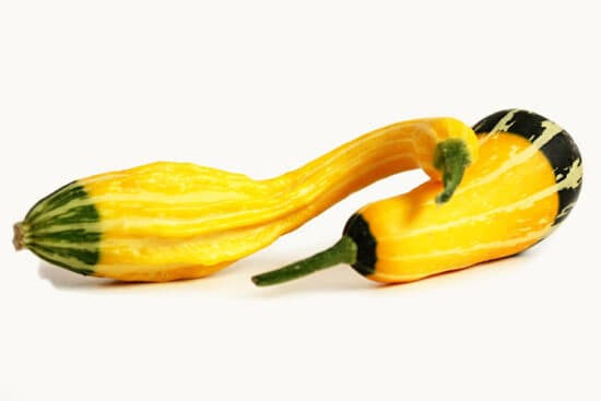Growing Summer Squash: Best Varieties, Planting, Tips, and Harvesting