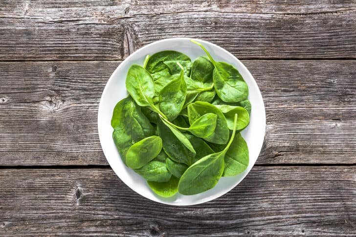 Growing Spinach: How to Plant, Grow, and Harvest Delicious Spinach